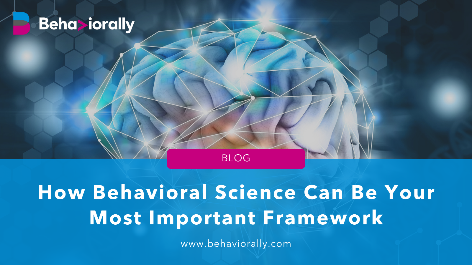 How Behavioral Science Can Be Your Most Important Framework > Behaviorally